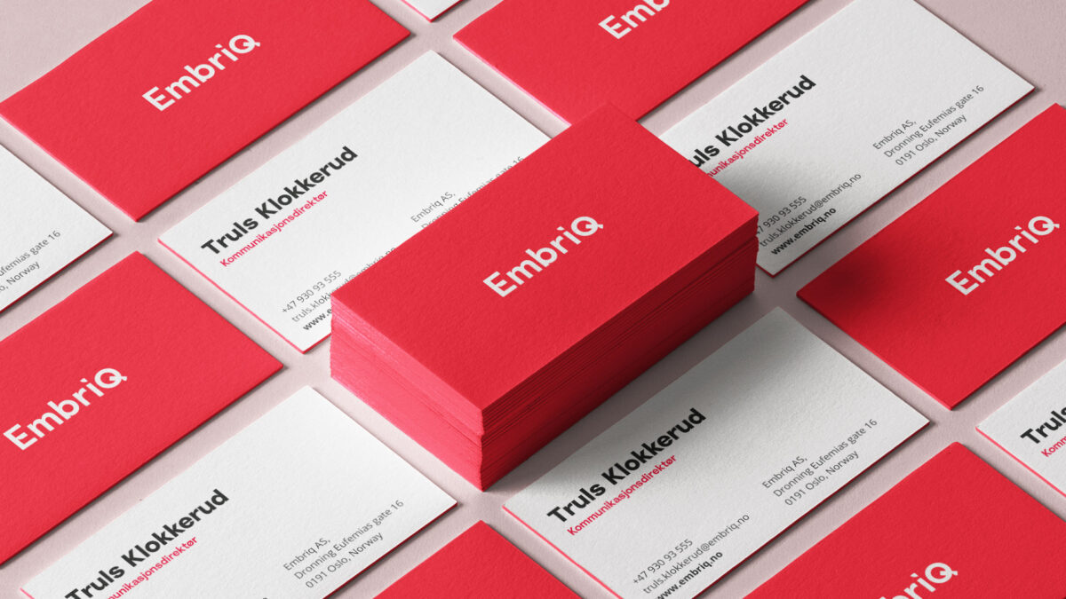 Case Studies & Work | Embriq | Design Container