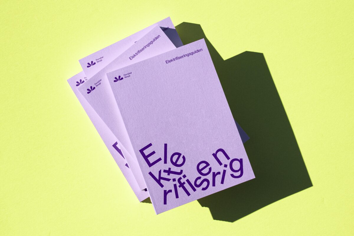 Stem Agency | Strategy, Branding & Marketing